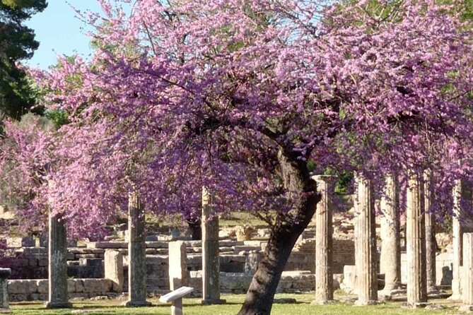 Private Guided Tour of the Archaeological Site and Museum of Olympia - Authenticity and Personal Touch