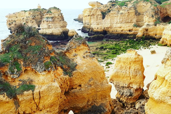 Private Guided Tuk-Tuk Tour with Pick-Up and Drop-Off of Albufeira - The Experience: What It Feels Like