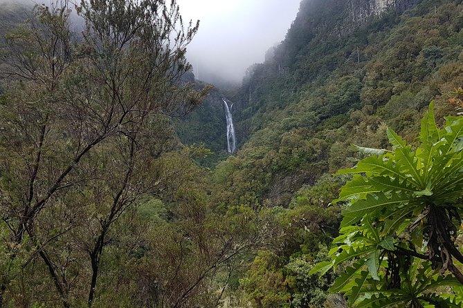 Private Guided Walk Levada 25 Fontes - The Sum Up