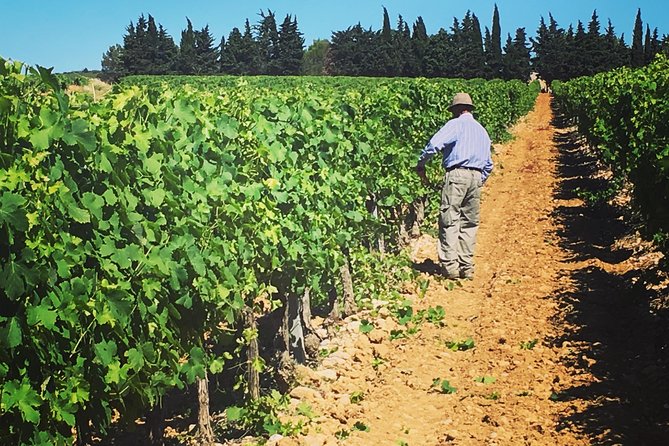 Private Half-Day Languedoc Wine Tour from Sète - Value Analysis
