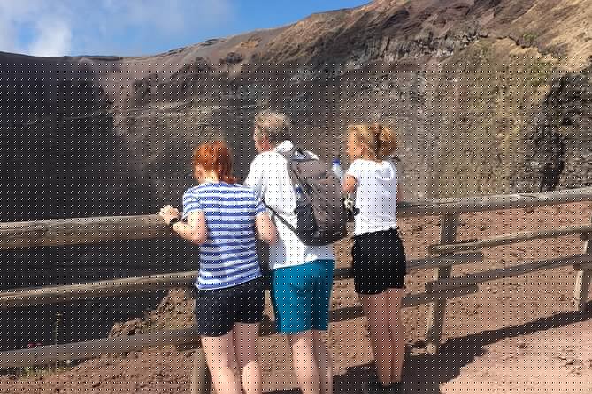Private Half-Day Sightseeing Tour of Vesuvius National Park - FAQ Section