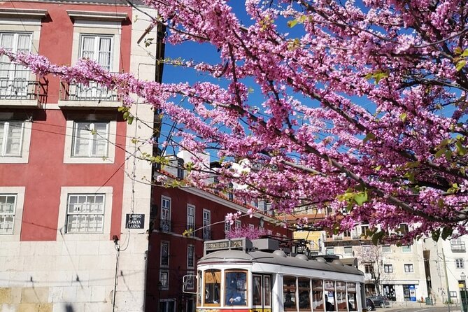 Private Highlights of Lisbon HD Tour - Discovering Chiado, Lisbon’s Bohemian Heart