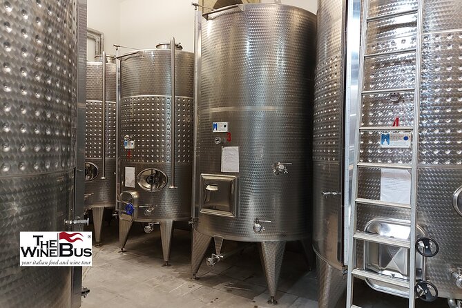 Private Irpinia Wine Tour from Sorrento with sommelier - Who Should Consider This Tour?