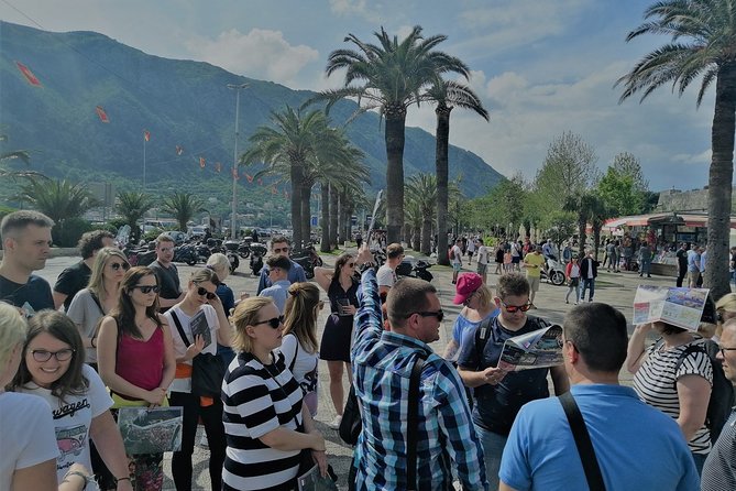 Private Kotor City Walking Tour - Who Should Book This Tour?