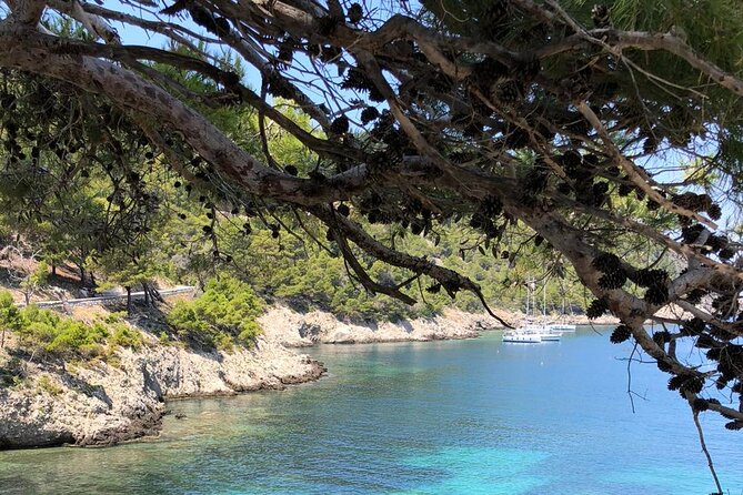 Private Luxury Cruise to Fteri, Melissani, Assos - The Sum Up: Who Will Love This Tour?