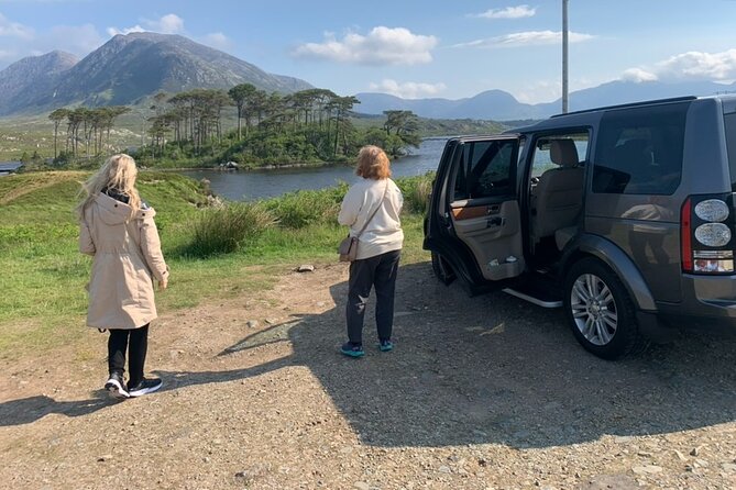 Private Luxury Guided Tour of Connemara from Westport or Ballina - Who Should Consider This Tour?