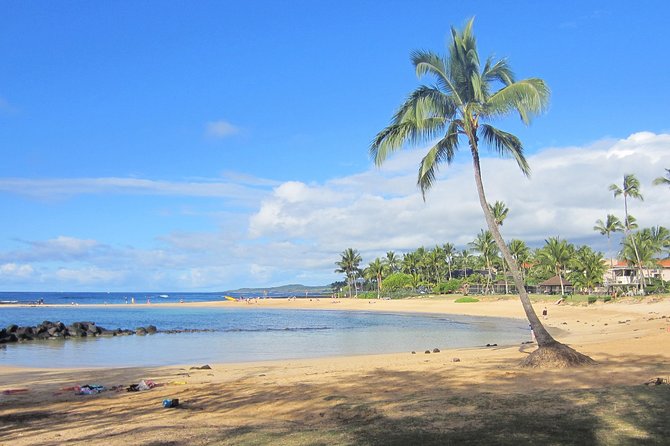 Private Luxury Tour of Kauai: South & West Shores - Final Thoughts