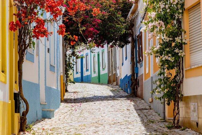 Private Luxury Transfer from Lisbon to Algarve (or vice-versa) - Analyzing the Value