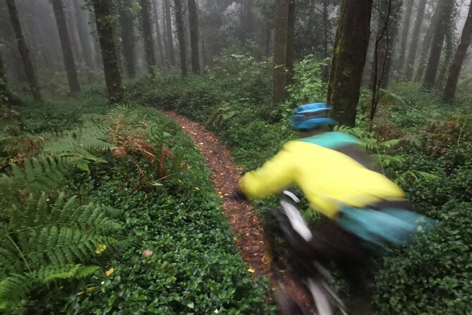 Private MTB Enduro Trail Tour in Sintra - Cascais Natural park - Riding Conditions and Gear