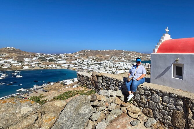 Private Mykonos Island tour by Luxury Minibus up to 11 passengers - The Benefits of a Private, Customizable Tour