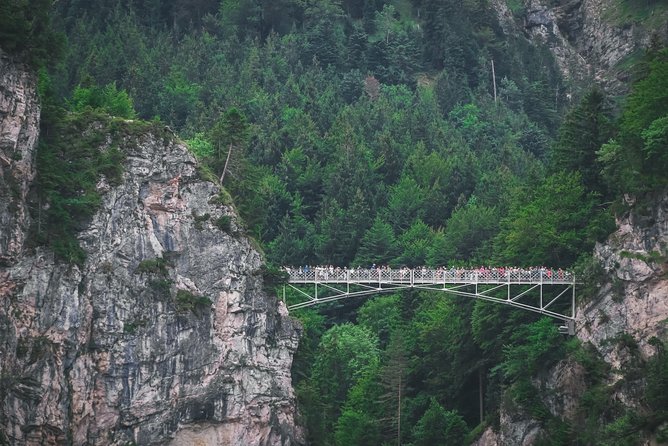 Private Neuschwanstein Castle Tour - optional Alpine Coaster - Who Should Consider This Tour?
