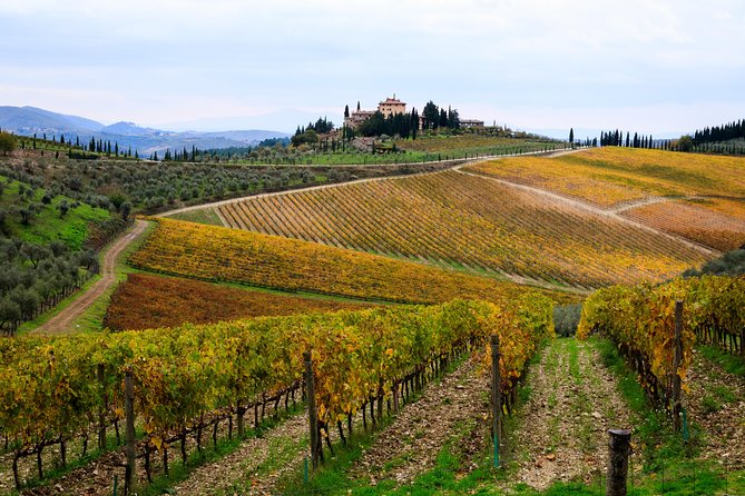 Private Orvieto and Tuscany Wine Tour from Rome - How This Tour Fits Different Travelers’ Needs