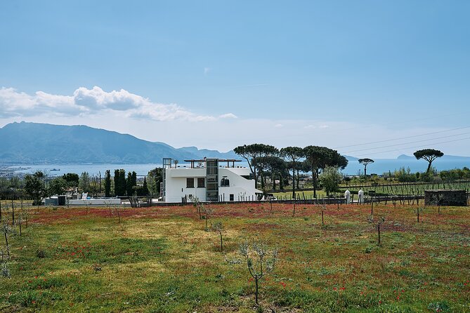 Private Pompeii Tour with Wine Tasting Experience - Practical Details to Keep in Mind