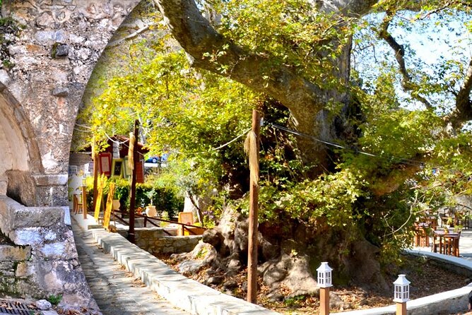 Private Rethymno old town,kourtaliotiko waterfalls& preveli beach - Who Is This Tour Best For?