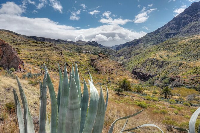 Private shore excursion in Gran Canaria the miniature continent - Who Will Love This Tour?