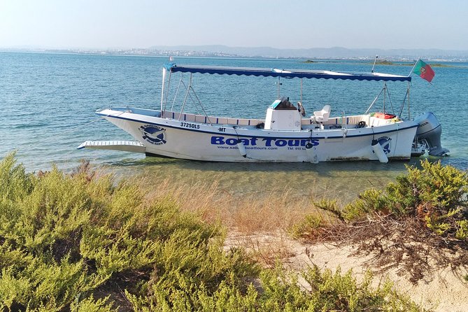 Private Sightseeing Boat Tour in Ria Formosa at Olhão - Who Should Consider This Tour?