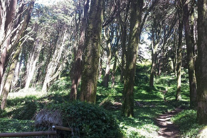 Private Sintra Day Trip from Lisbon with Wine Tasting and Monserrate Palace - Practical Considerations