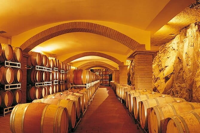 Private Tour: Chianti Winery, Montefioralle, and Greve in Chianti - The Winery Visit: Sangiovese and Chianti Tasting