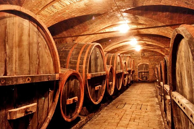 Private tour from Livorno port to Chianti Wine Region - Is It Worth the Price?