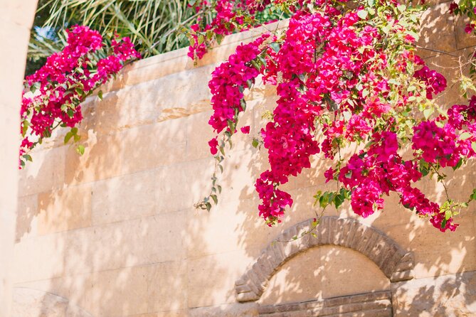 Private Tour from Saint-Tropez to the flowers city - Frequently Asked Questions