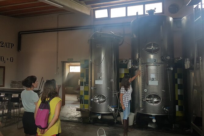 Private Tour - Hike and wine tasting at the Penedés - FAQ