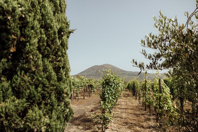 Private Tour in Pompeii and Vesuvius - Practical Considerations and Tips