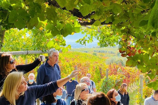 Private Tour in Pompeii Ruins and Pompeii City Center Winery - FAQ