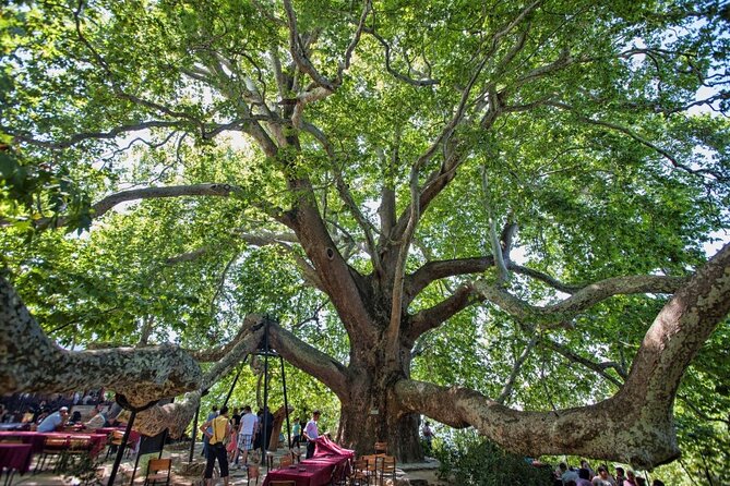 Private Tour in The Bursa The heart of Ottoman Empire - The Value and Who Will Appreciate This Tour