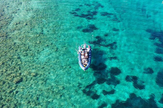 Private tour Sibenik full day - The Value and Cost