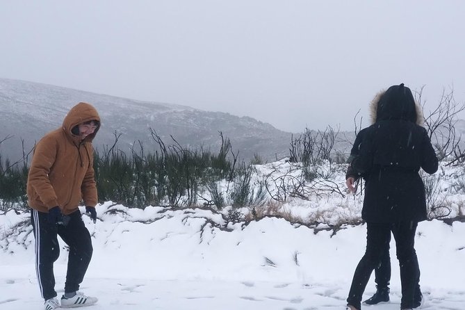 Private Tour through Serra da Estrela Park and its famous cheese - The Summit: Torre