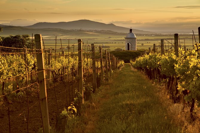 Private Tour to Czech Wine Regions - Lednice and Valtice - FAQs