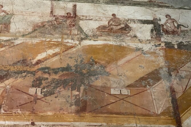 Private Tour to Pompeii Wheelchair Friendly with Archaeologist - Navigating the Terrain and Accessibility