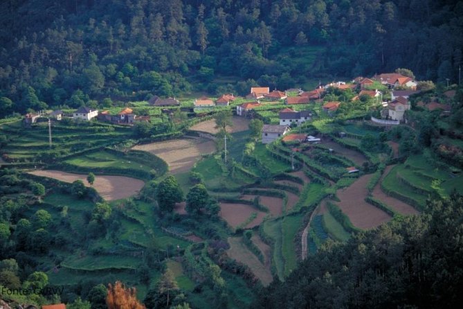 Private tour to Ponte de Lima, Vinho Verde region - Practical Details: What You Need to Know