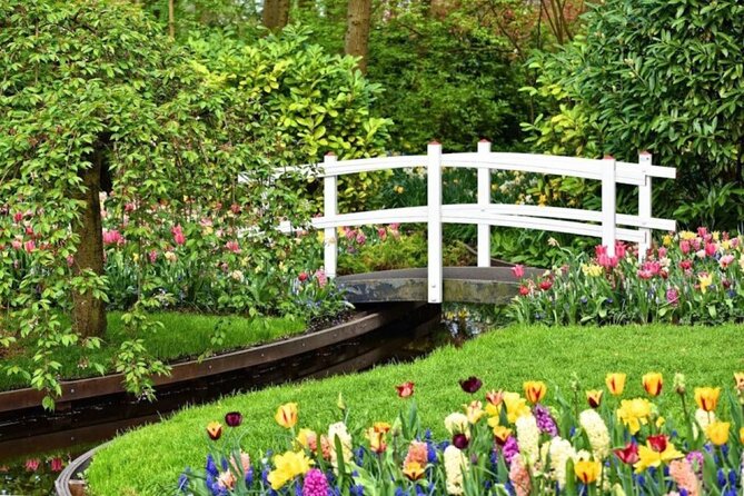 Private Tour to the Tulip Experience with Keukenhof Visit - Who Will Love This Tour?