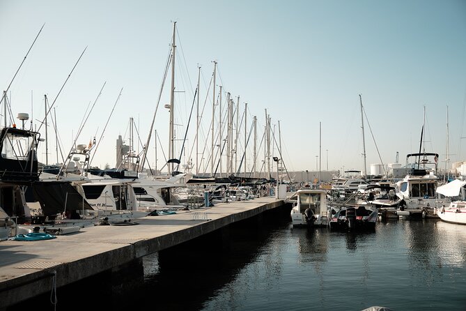 Private Tour with Dolphin Watching in Algeciras Bay - The Cost and Value