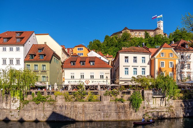 Private Tours in Slovenia from Koper - Real Traveler Feedback and What It Tells Us