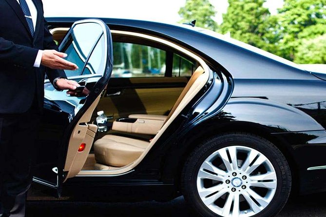 Private Transfer Between Rome Hotel and Civitavecchia Port or vv. - Who Will Love This Service?