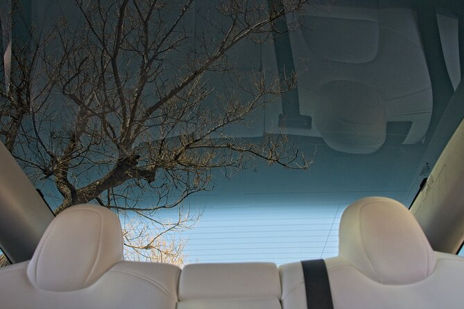 Private Transfer from Athens Airport to Athens City with Tesla - The Sum Up