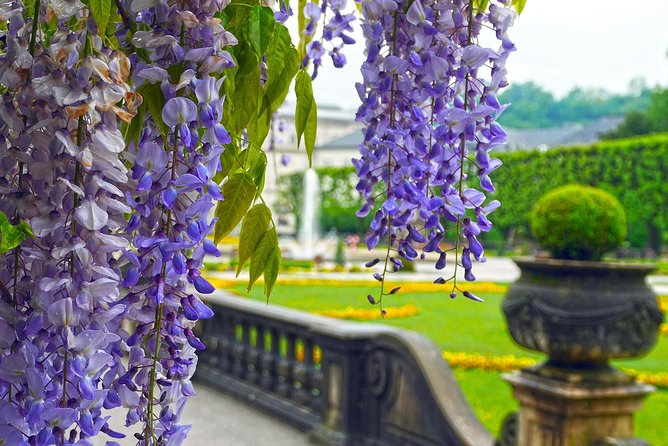 Private Transfer from Munich to Salzburg, English-speaking driver - Critical Review of the Service