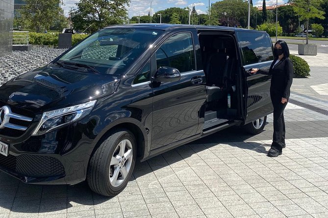 Private Transfer from/to Rome Termini to/from Rome hotel - The Practical Side: Value and Convenience