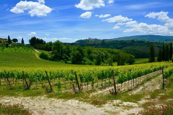Private Tuscany Day Tour: San Gimignano and Chianti Wine Region from Florence - Practical Details and Tips