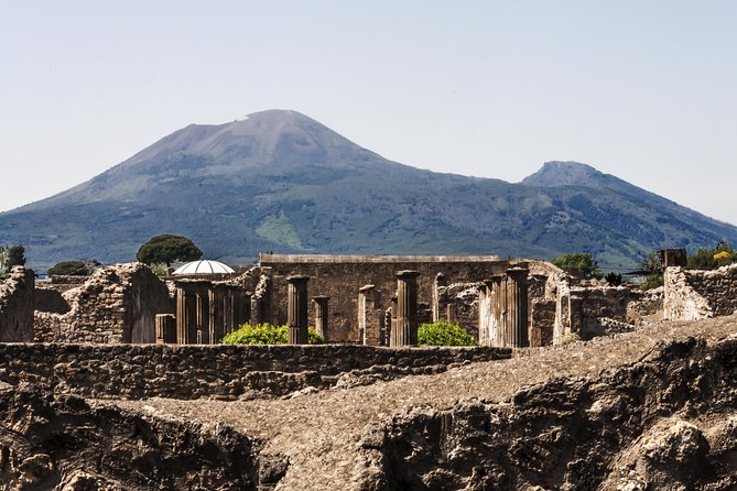 Private VIP tour to Pompeii Ruins with a Private Guide - Who Will Benefit Most?