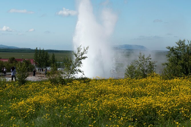 Private Visit Golden Circle Essentials - Who Will Get the Most Out of This Tour?