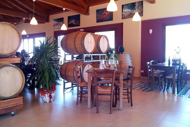 Private visit to the cellars of Etna with wine tasting - Why You Should Consider This Tour