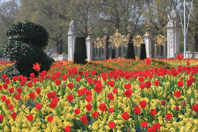 Private Walking tour London, Buckingham Palace to Big Ben and much more - Final Thoughts