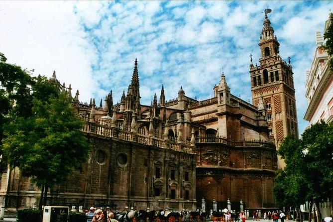 Private Walking Tour of Seville with tickets and local tour guide - Authentic Feedback from Travelers