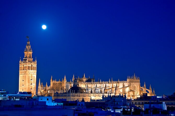 Private walking tour to Seville with Flamenco Show - Who Should Consider This Tour?