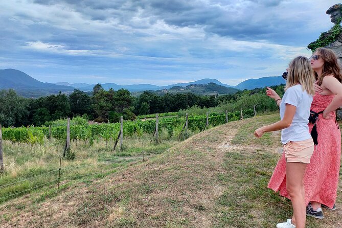 Private wine tour on the magical hills of Lucca (2 wineries) - How the Tour Works: Practical Details