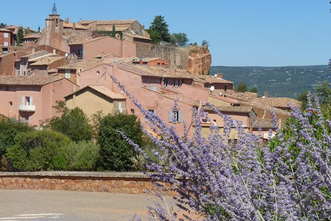 Provence Lavender Full Day Tour from Avignon - The Value of Small-Group Travel