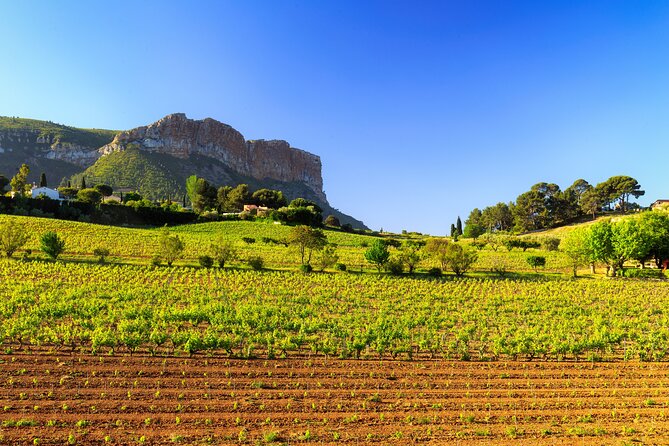 Provence small group half-day wine tour from Aix - Logistics and Price Point